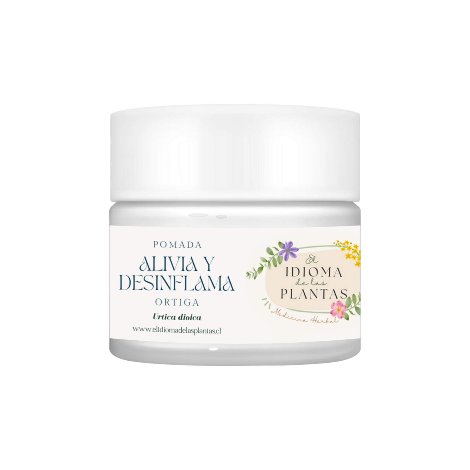 Pomada ortiga y alcanfor - alivia y desinflama – El idioma de las plantas